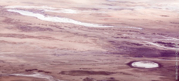 USA Day 6 : Death Valley | Wild Birds Collective