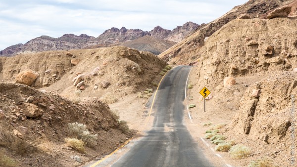 USA Day 6 : Death Valley | Wild Birds Collective