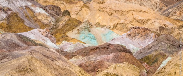 USA Day 6 : Death Valley | Wild Birds Collective