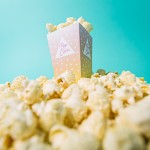 Popcorn Box DIY - Wild Birds Collective