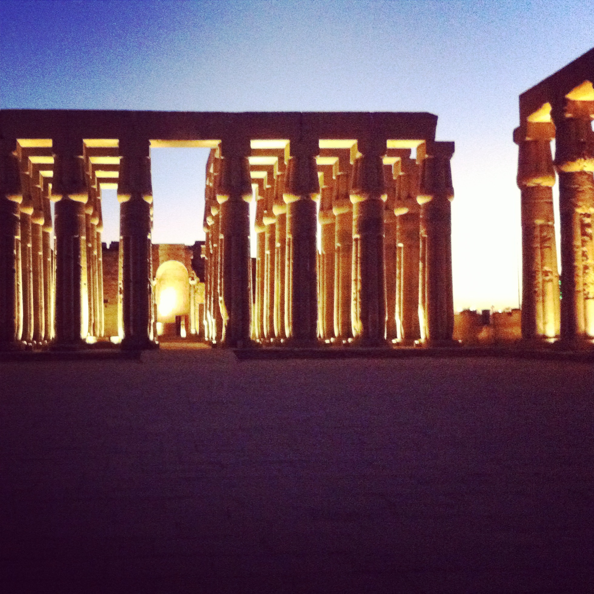 Egypte-Temple-Louxor-WBC | Wild Birds Collective