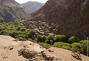 Trek au Maroc : Jour 2 | Wild Birds Collective