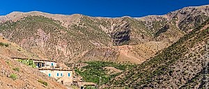 Trek au Maroc : Jour 1 | Wild Birds Collective