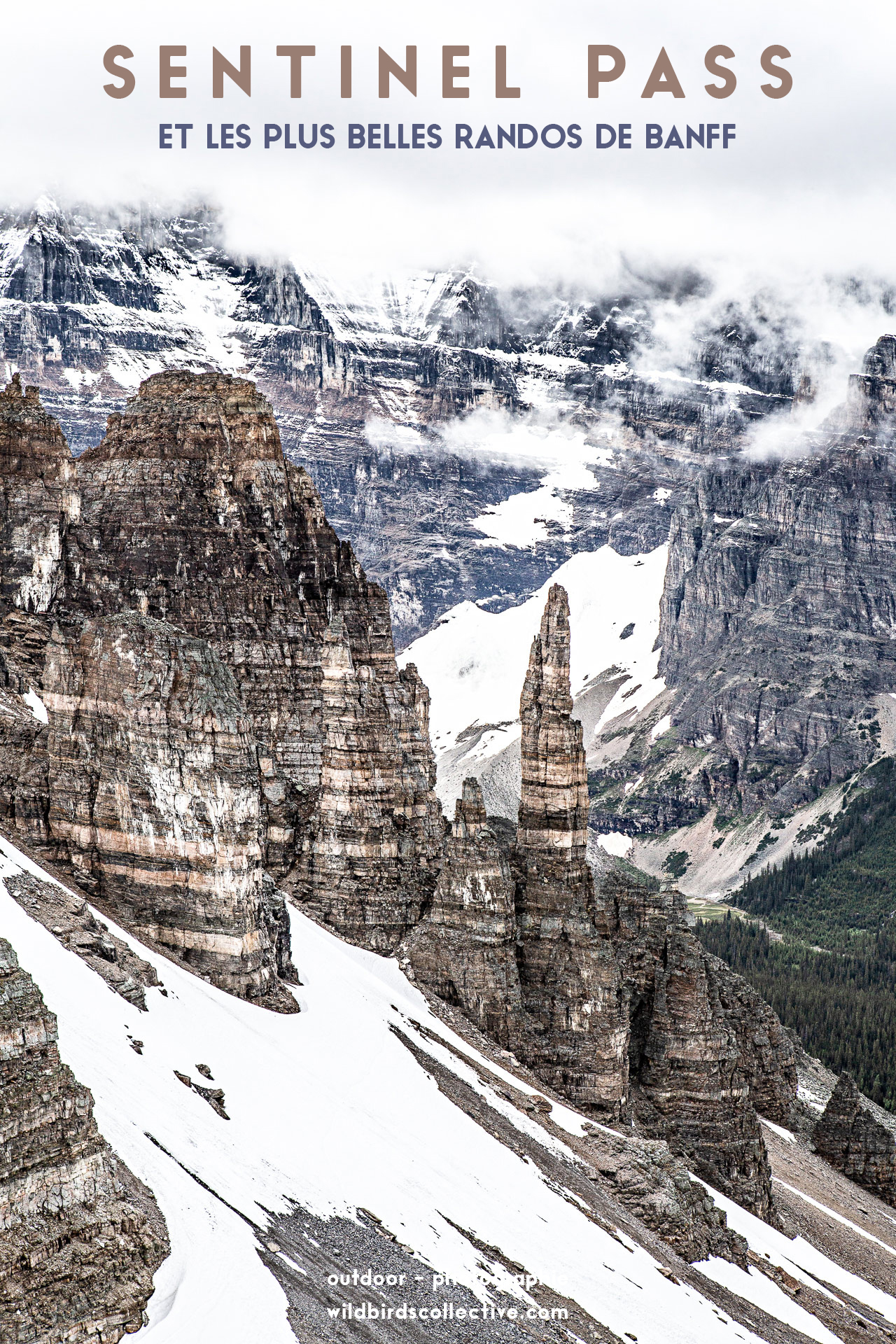 rando-sentinel-pass-banff-alberta-canada-wbc | Wild Birds Collective