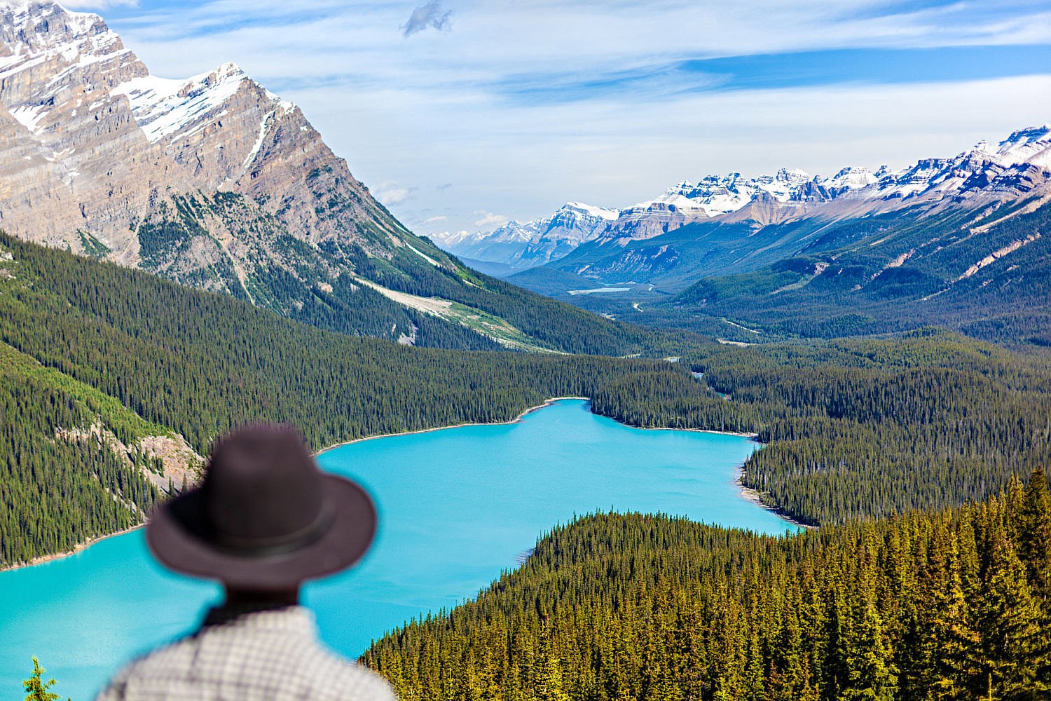 Promenade des Glaciers au Canada | Les plus beaux spots | Wild Birds ...
