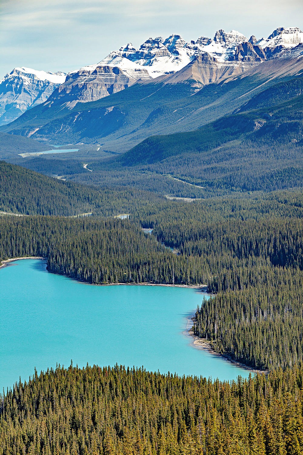 canada-promenade-des-glaciers-lac-peyto-voyage-wild-birds-collective-22 ...