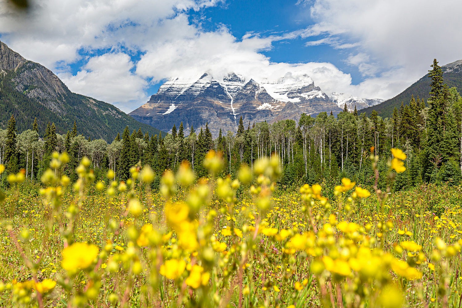 Colombie-Britannique | Les plus beaux lieux à visiter | Wild Birds ...